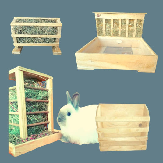 For all things bunny & more | That Bunny Farm