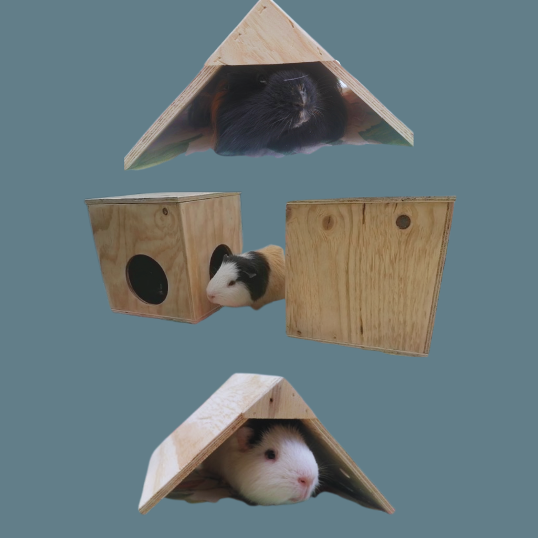 For all things bunny & more | That Bunny Farm